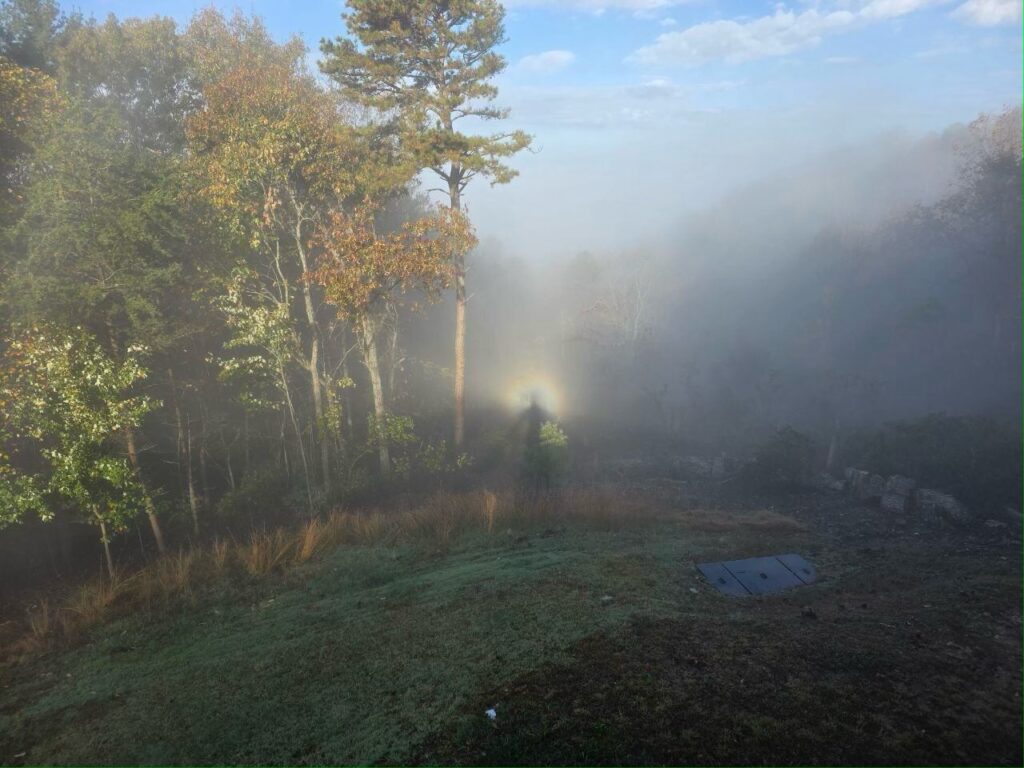 PHOTOGRAPH OF AN ANGEL - 2024 – Anna Rountree